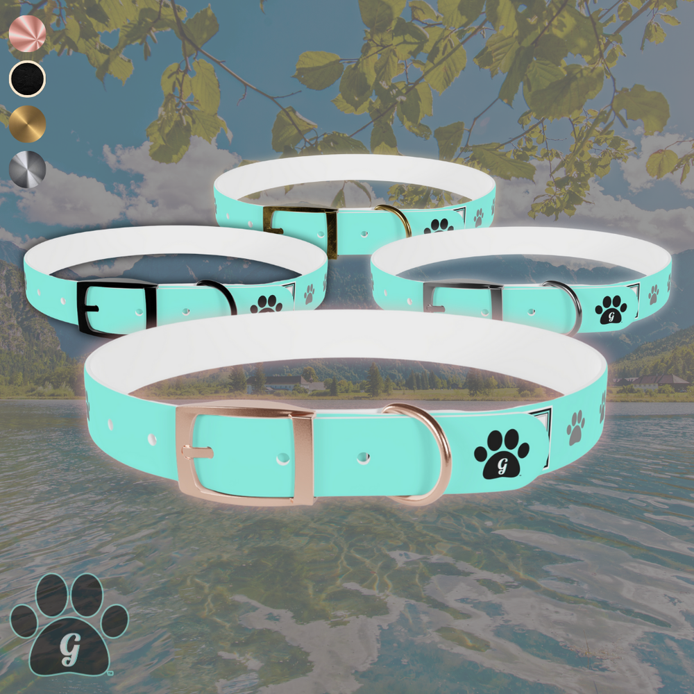 TKSTAR TK909 GPS Tracker Smart Collar – Gotcha